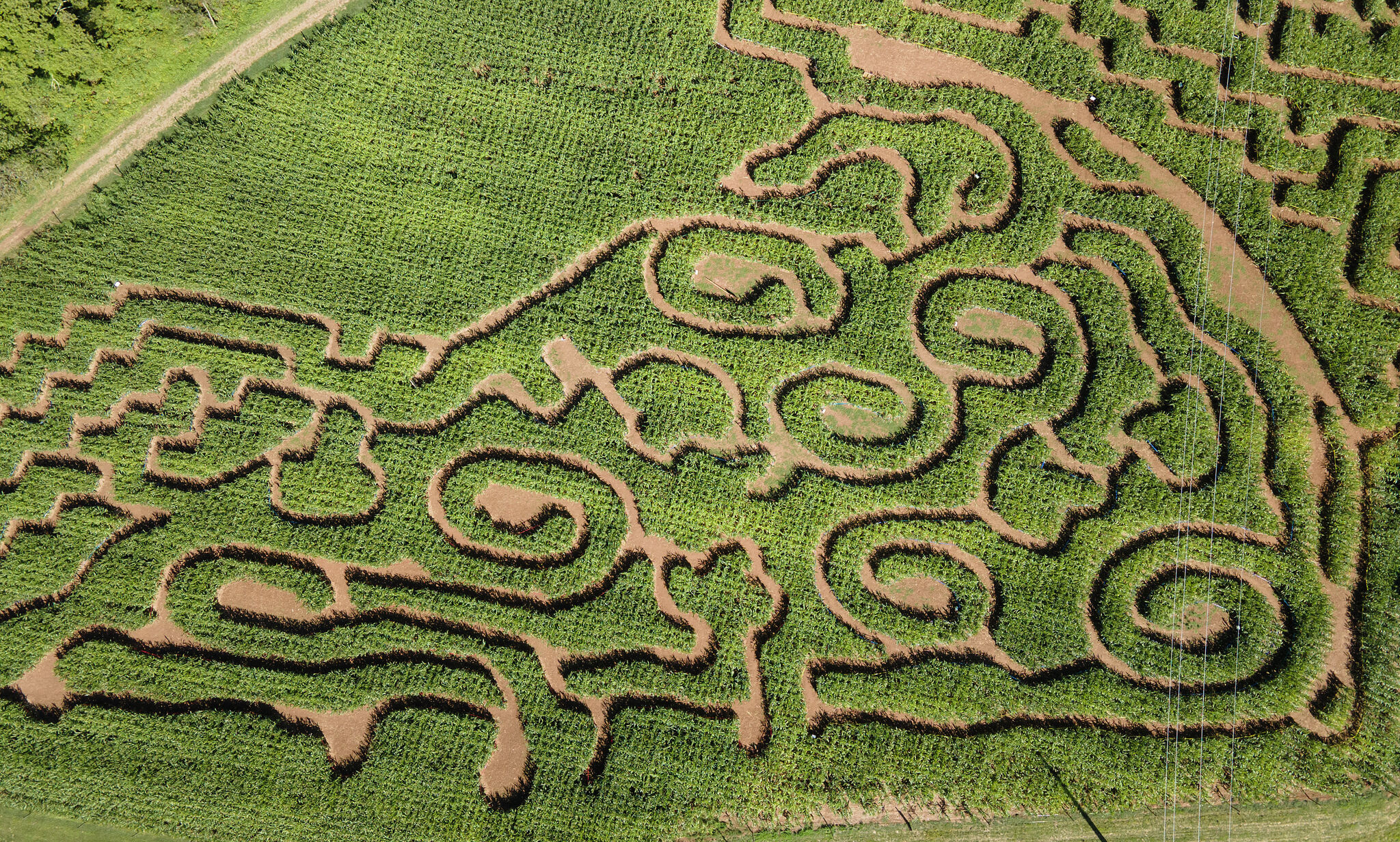 Bishop’s Orchards in Guilford highlights CT pizza