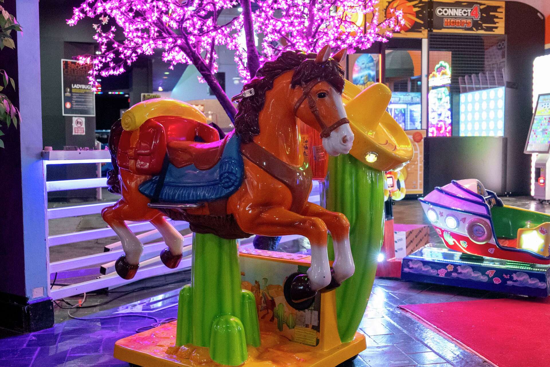 An inside look at Houston's Funplex auction