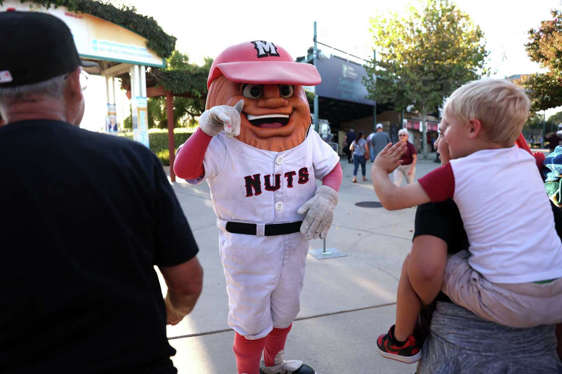Pioneer League ready to save baseball in Modesto with expansion team