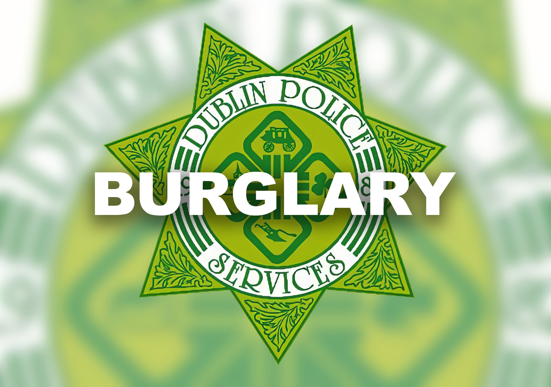 Dublin: Police Ask Public's Help Finding Suspects In Temple Burglary