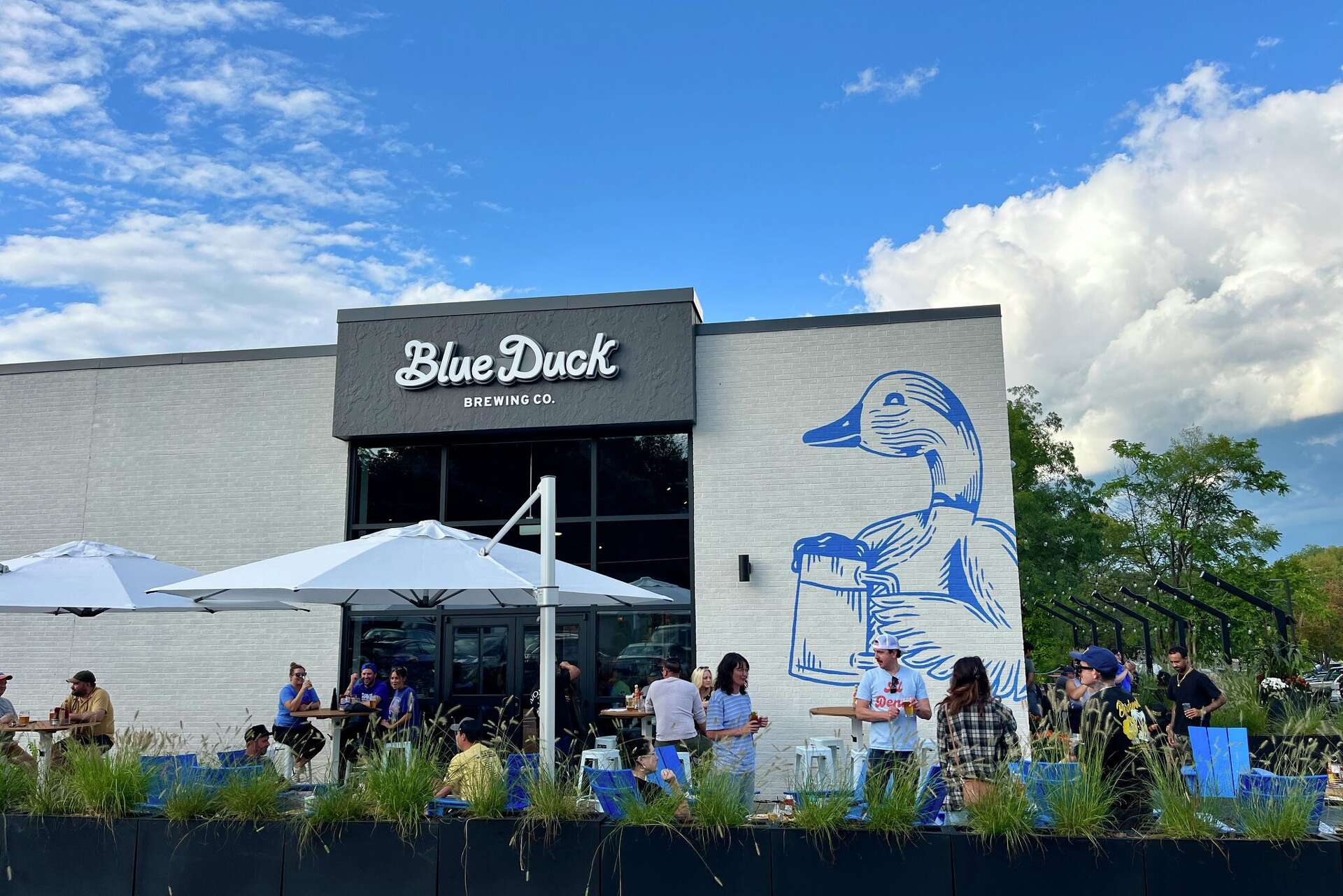 Blue Duck Brewing and Phoenicia Diner open together in Kingston