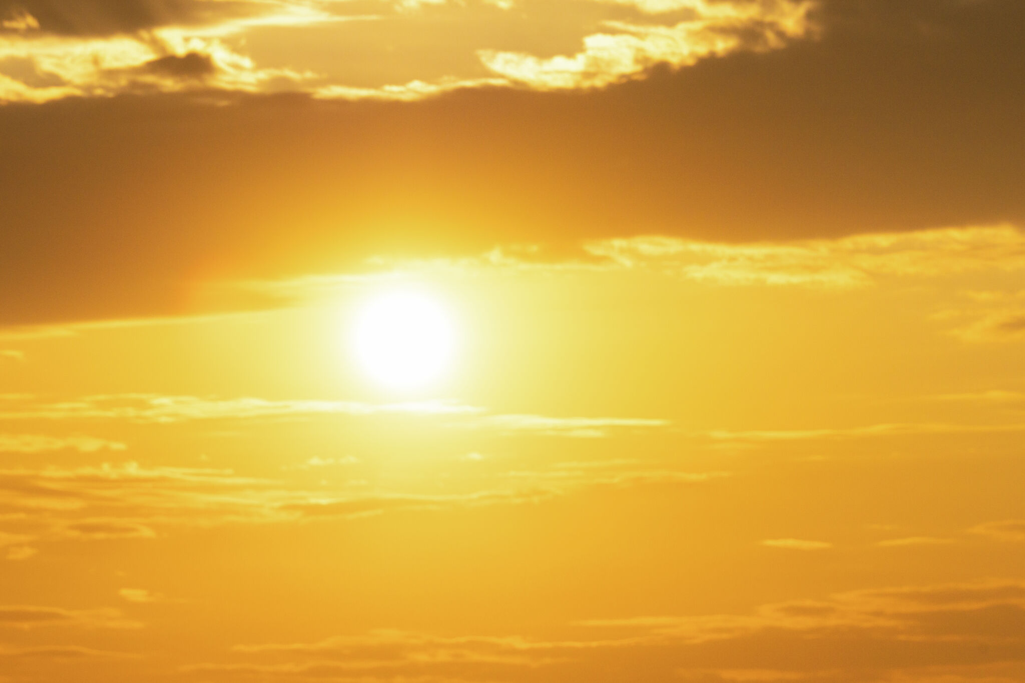 CT's new speakeasy The 196 Club opens inside Emrey's Soda Shop