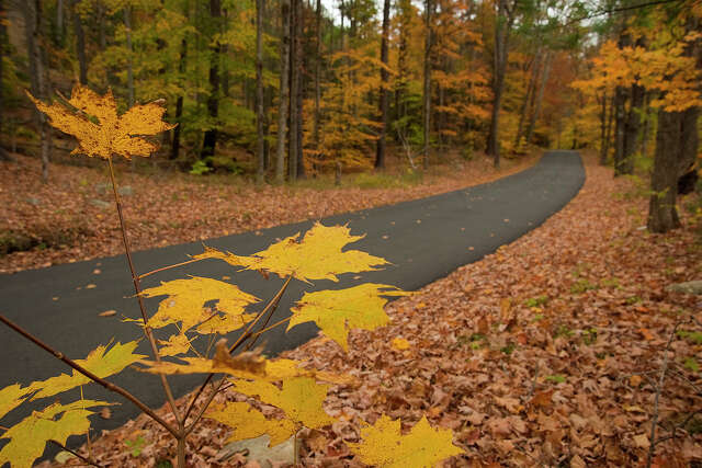 New England fall foliage season begins. When will foliage peak in CT?