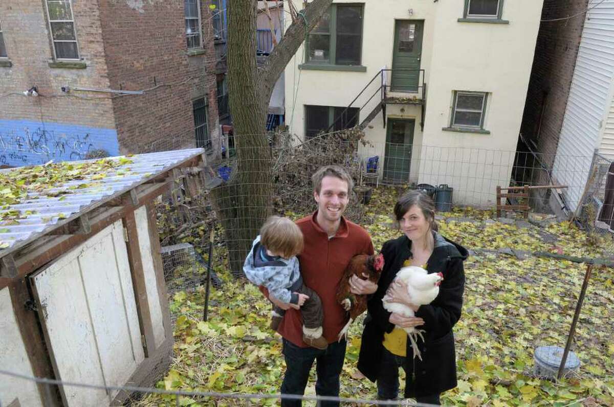 Bill to legalize backyard birdkeeping flies