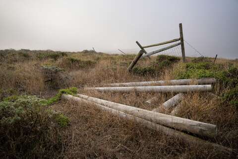 Marin Co.: Grant Funds Next Steps For Restoration Of Point Reyes ...