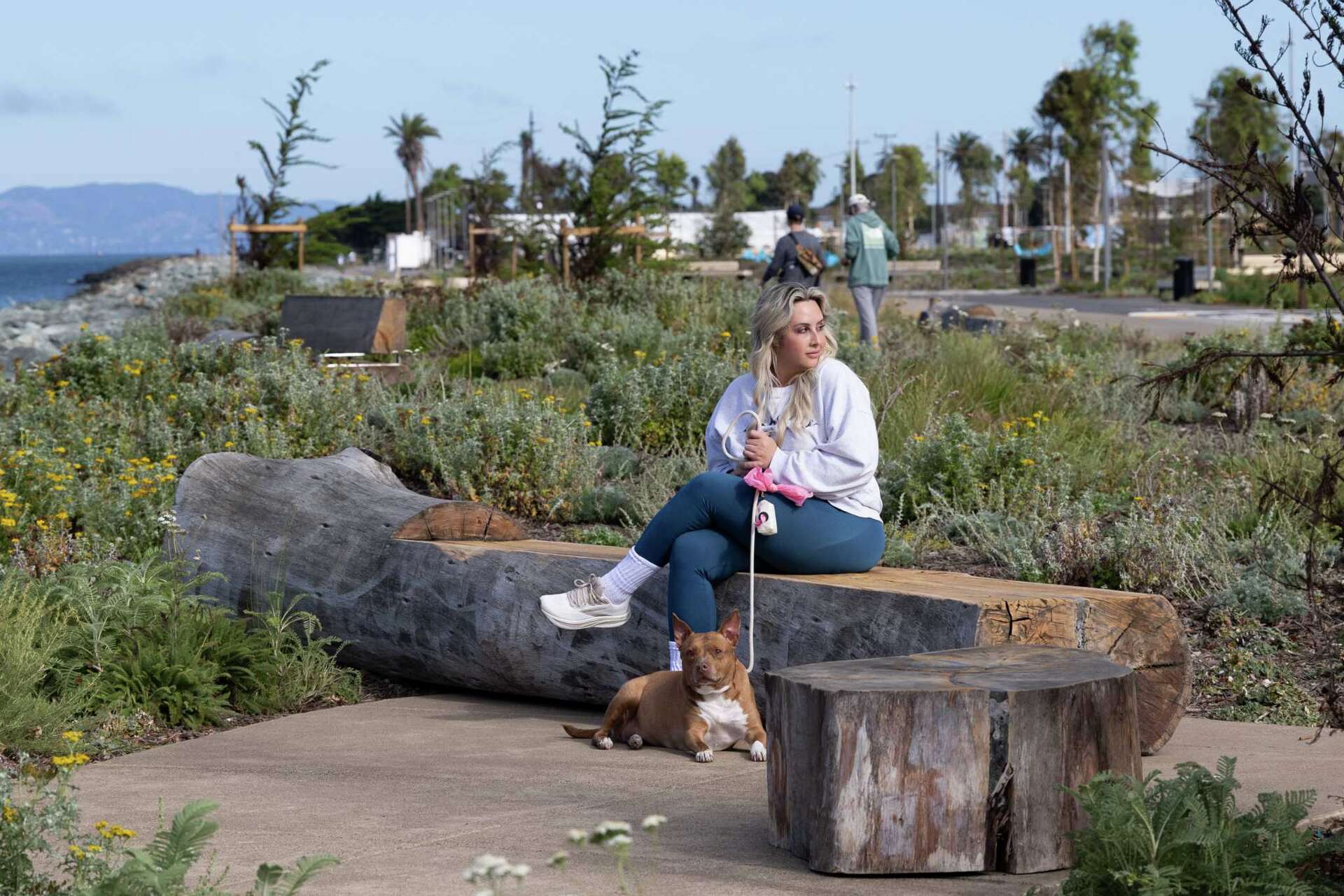 Treasure Island’s first major park offers ‘unparalleled’ views