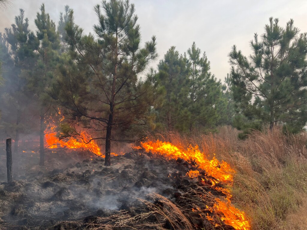 Among U.S. cities under high wildfire risk, here's where Austin ranks