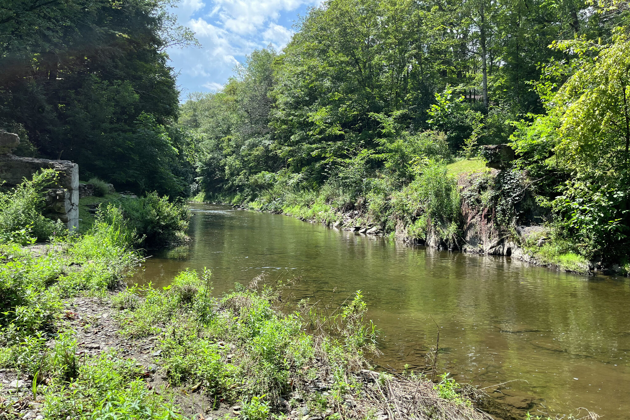 Dam removals restore Hudson Valley stream ecology, DEC study shows