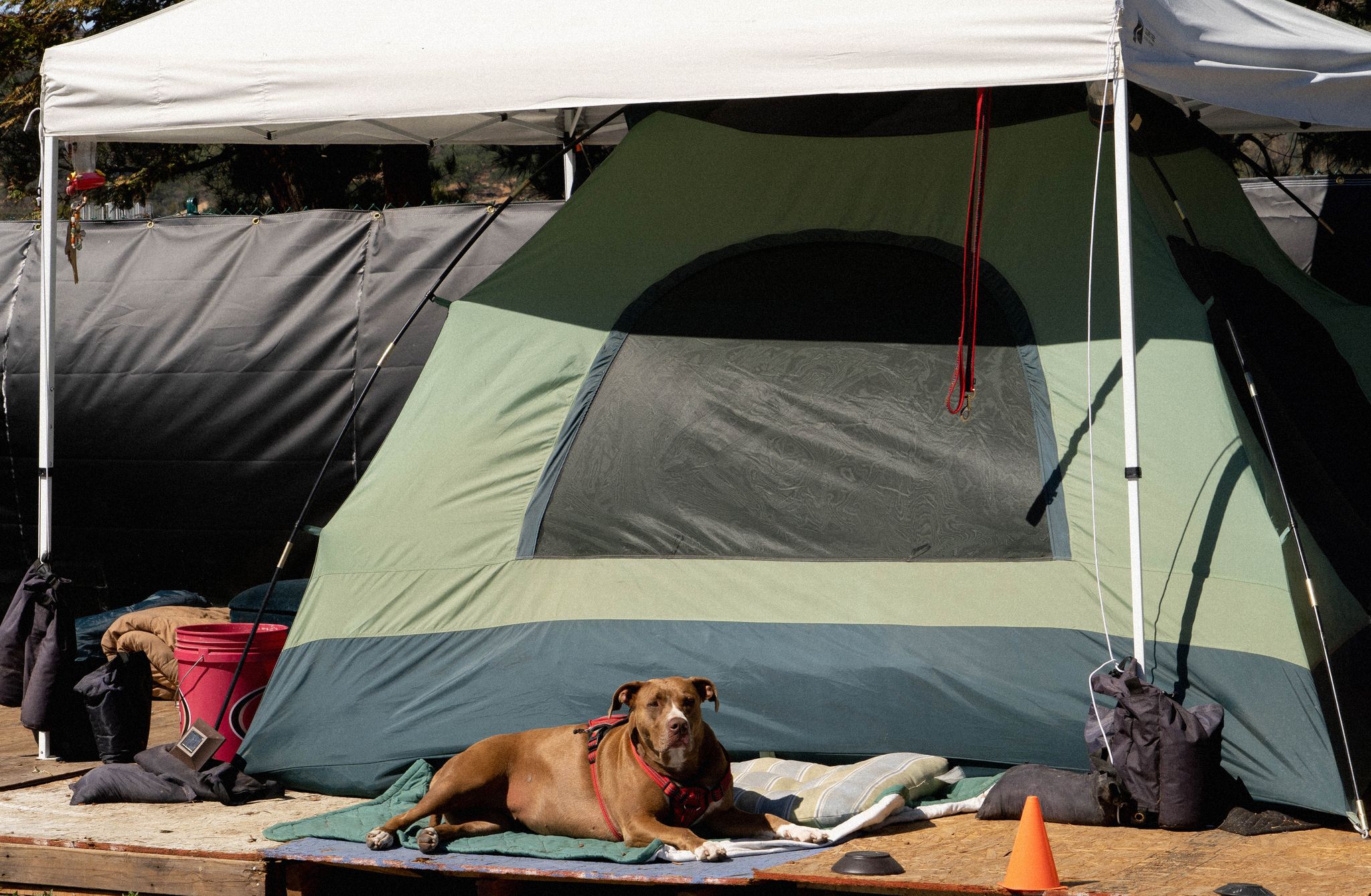 Ukiah: Council To Consider Changes To Homeless Encampment Rules Wednesday