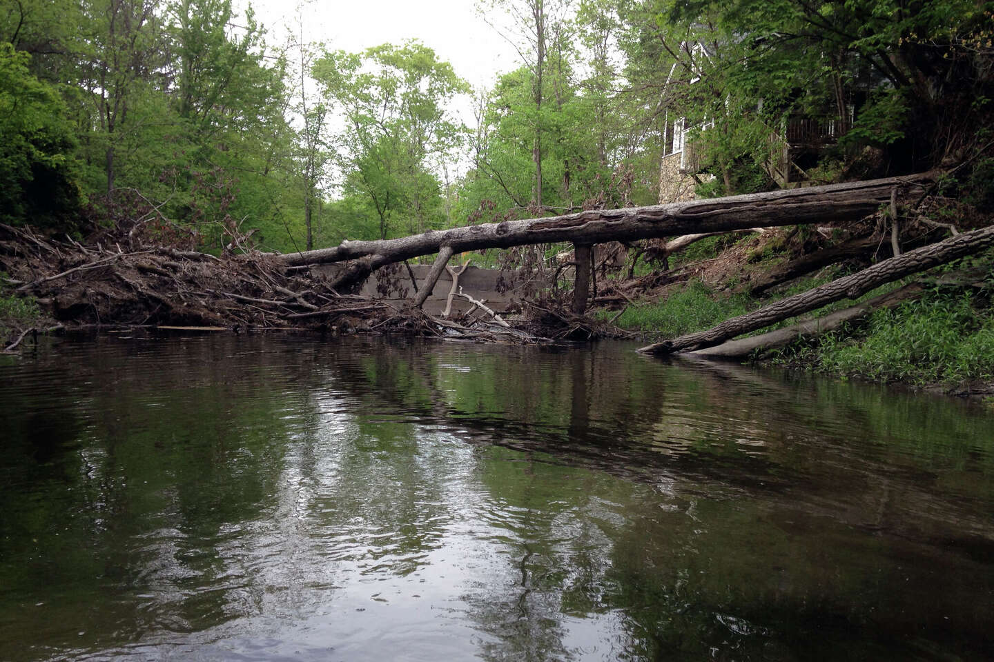 Dam removals restore Hudson Valley stream ecology, DEC study shows