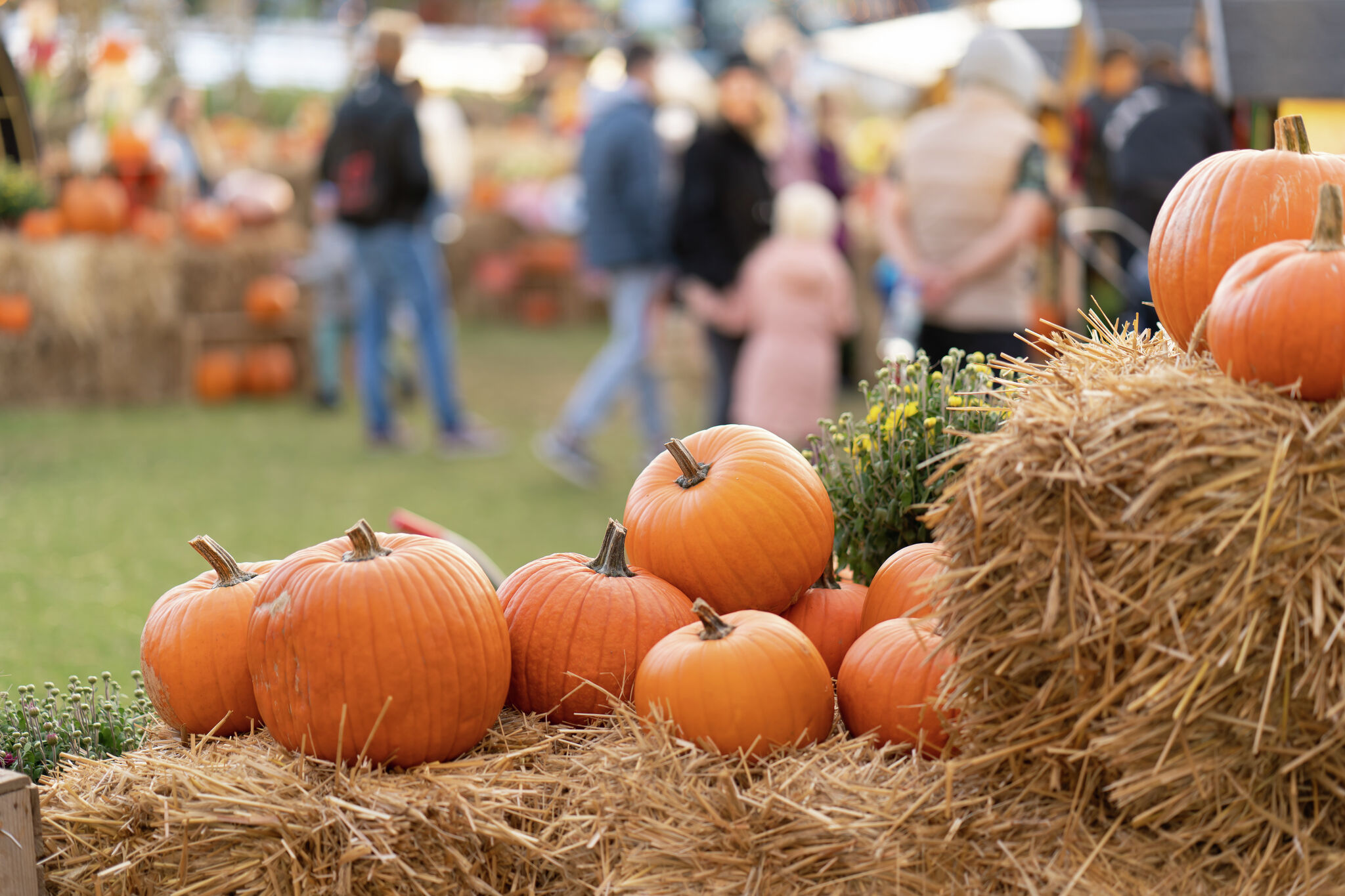 Illinois fall events fill state parks and historic sites