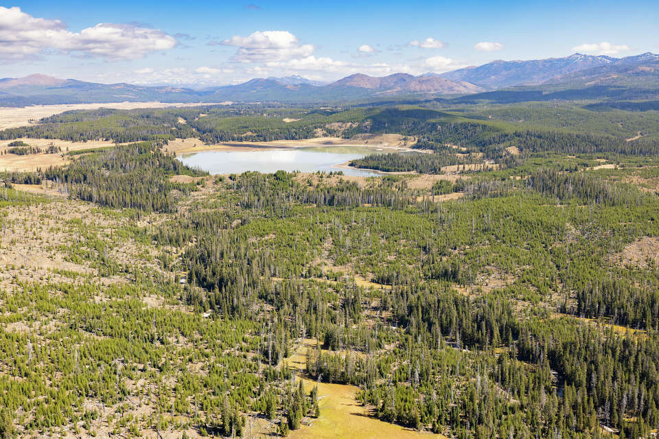 First bear attack in Yellowstone since 2021 injures solo hiker