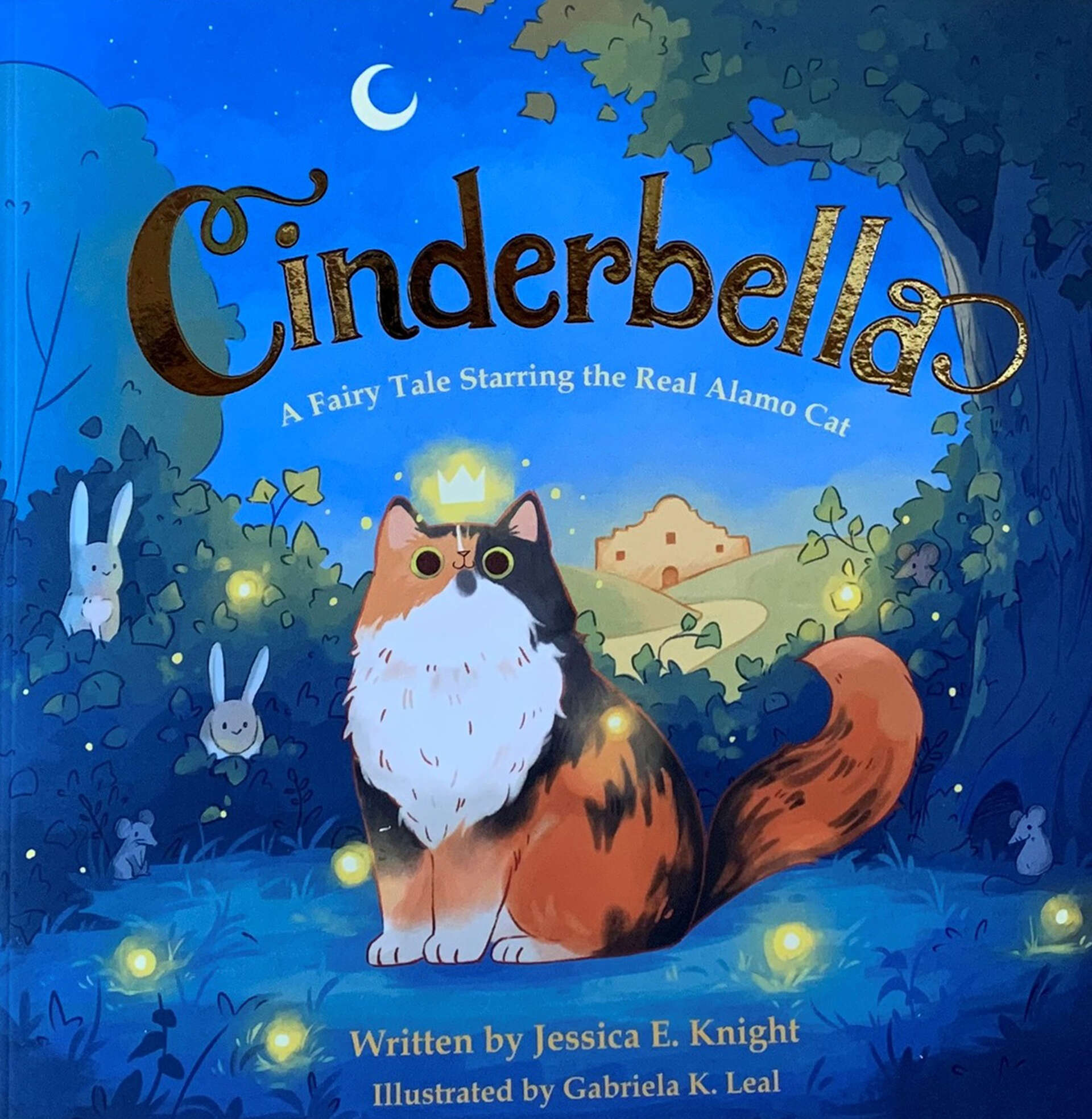 Bella the Alamo cat inspires new children's picture book