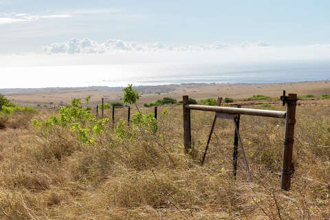 Hawaii group organizes to buy back ancestral land from billionaire