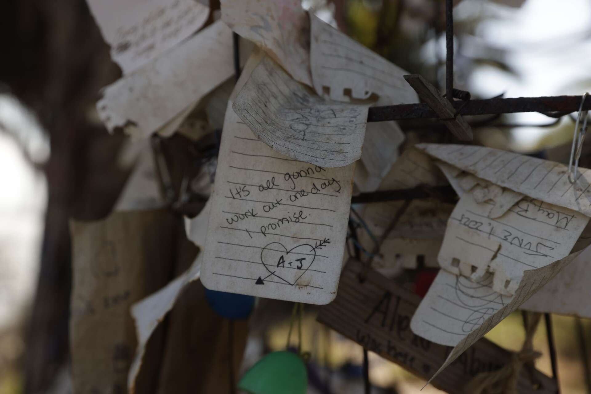 Albany Bulb was once a notorious landfill. Now it's an art wonderland
