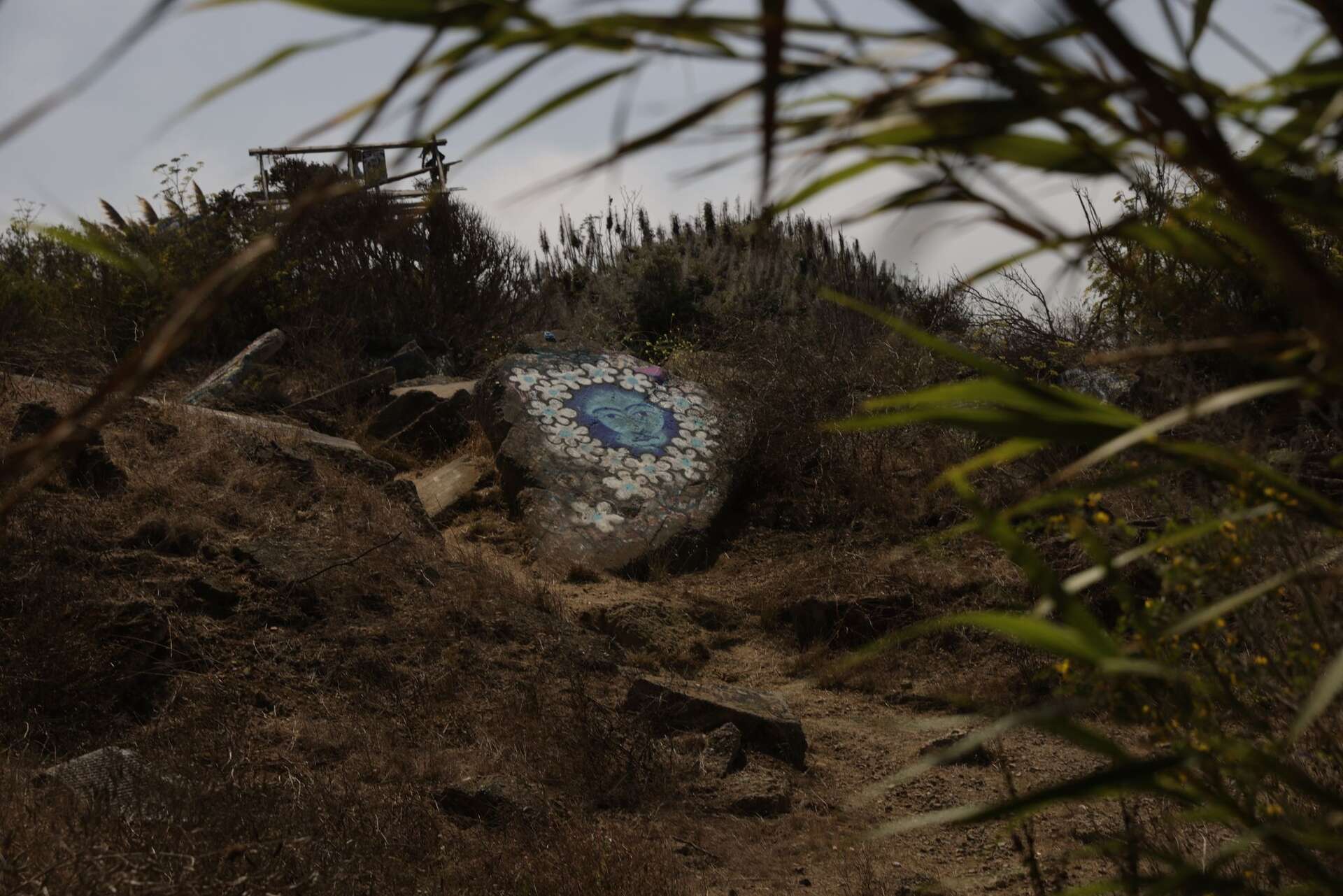 Albany Bulb was once a notorious landfill. Now it's an art wonderland