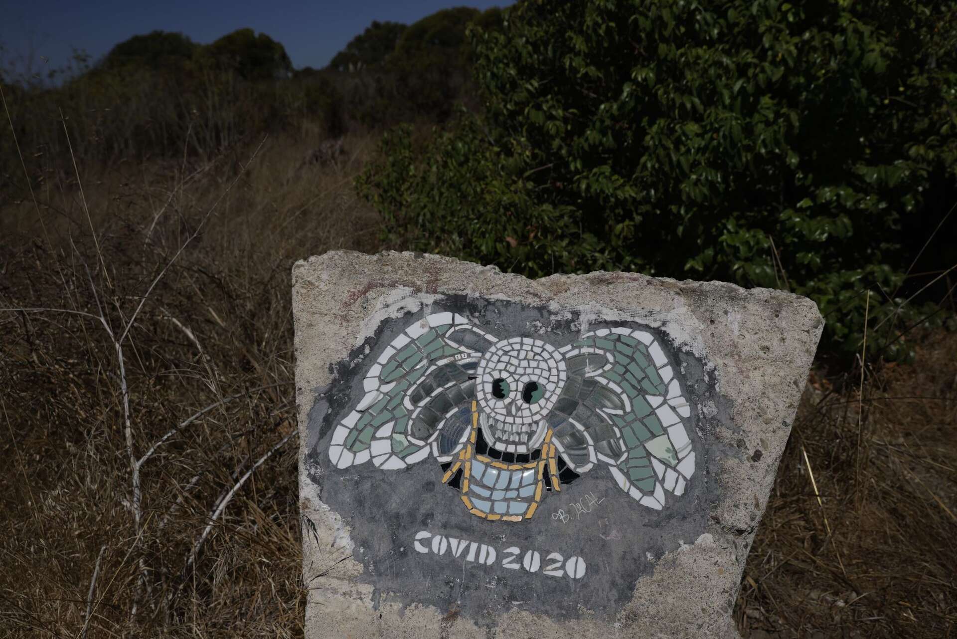 Albany Bulb was once a notorious landfill. Now it's an art wonderland