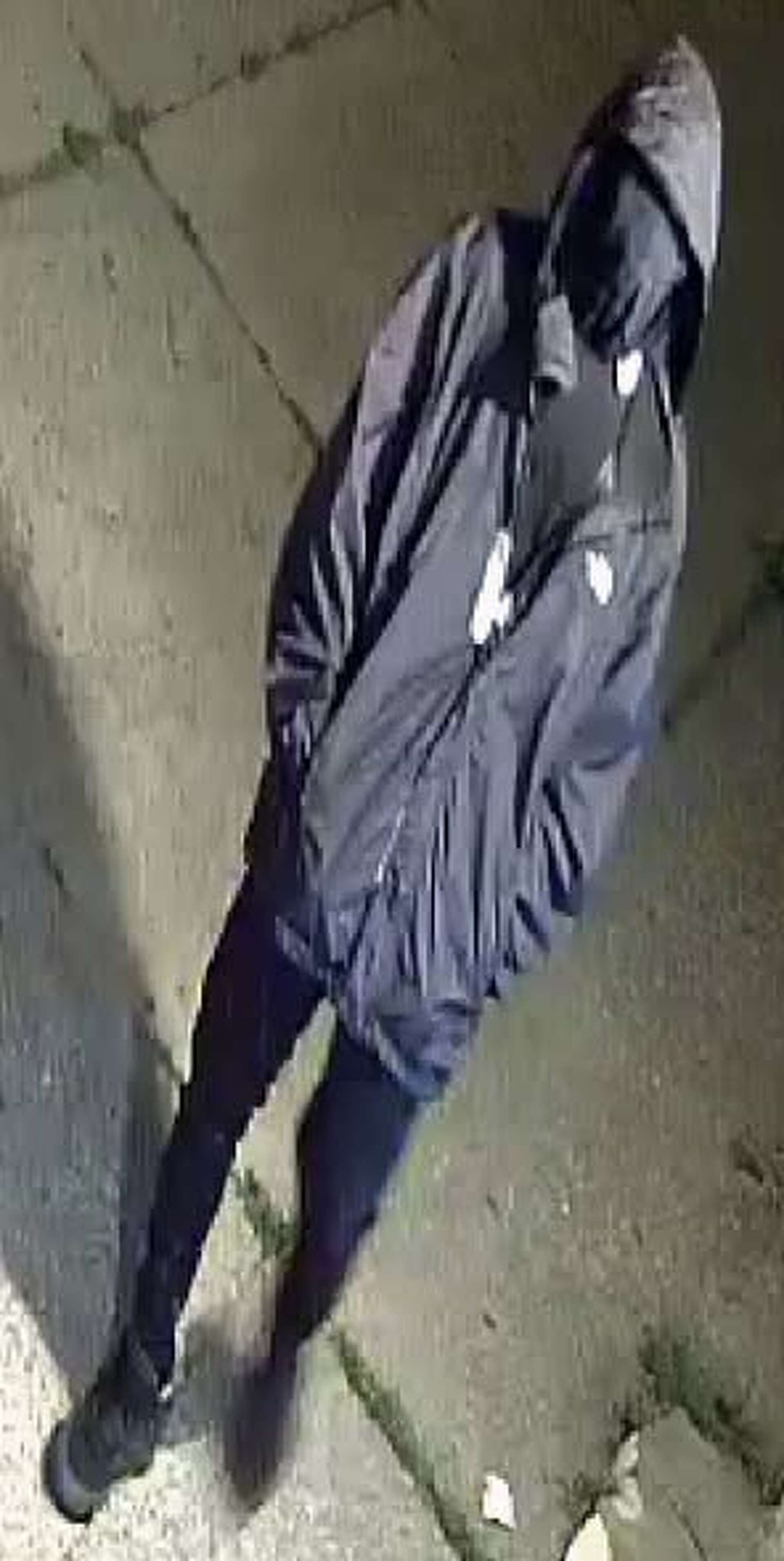 Albany Police share photos of two in June killing of Cureton