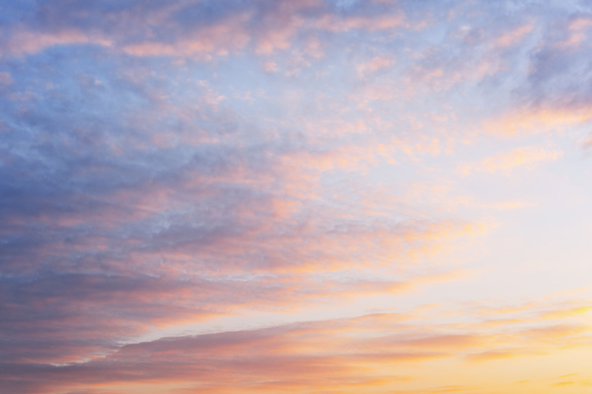 The CT man with no memory who changed neuroscience