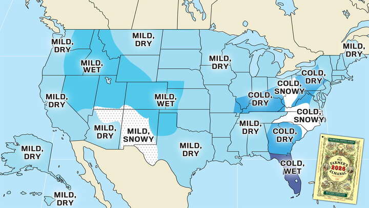 Is it going to snow in Texas? See Old Farmer’s Almanac winter outlook