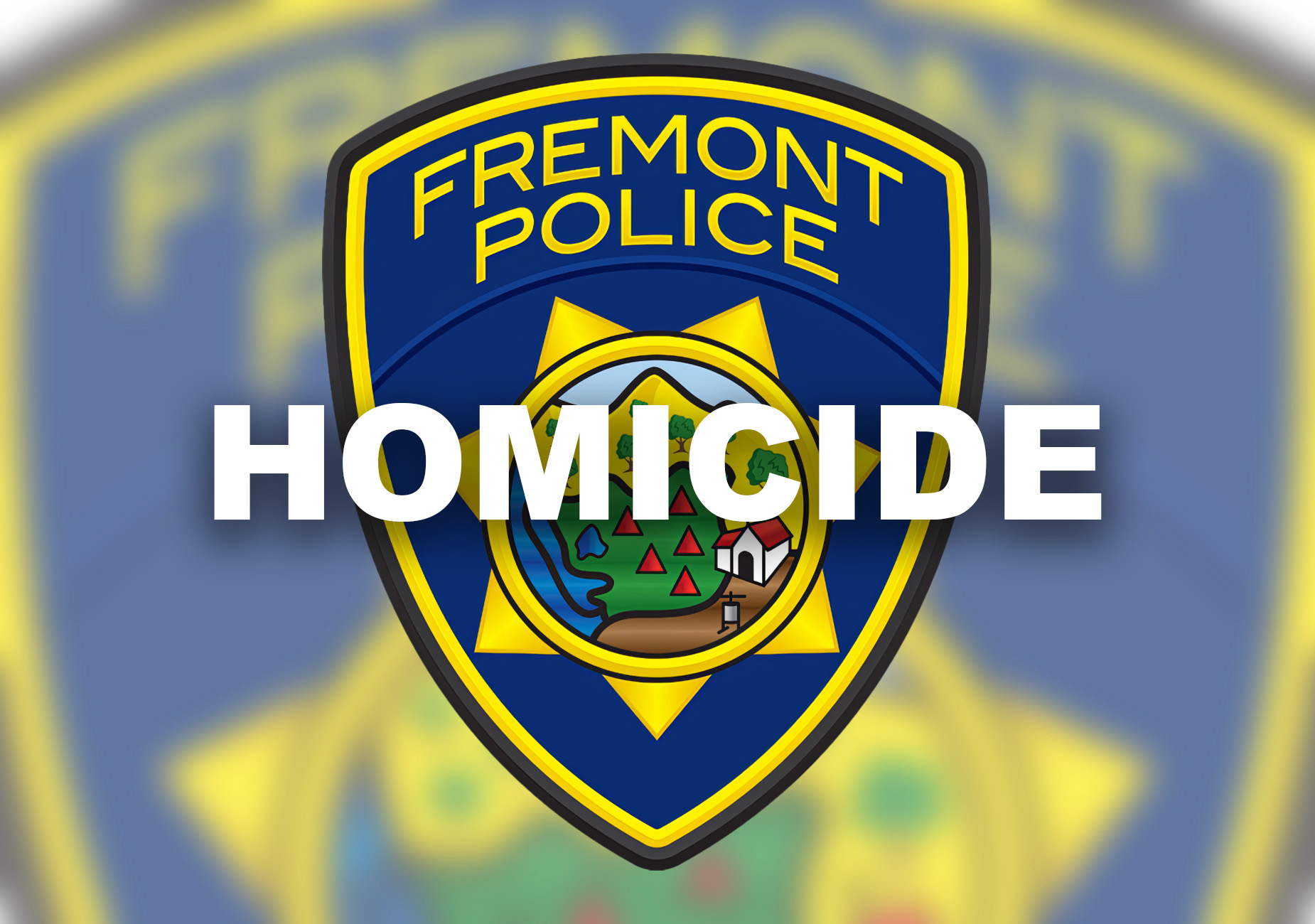 Fremont: Update: 29-Year-Old Man Arrested In Stabbing Death