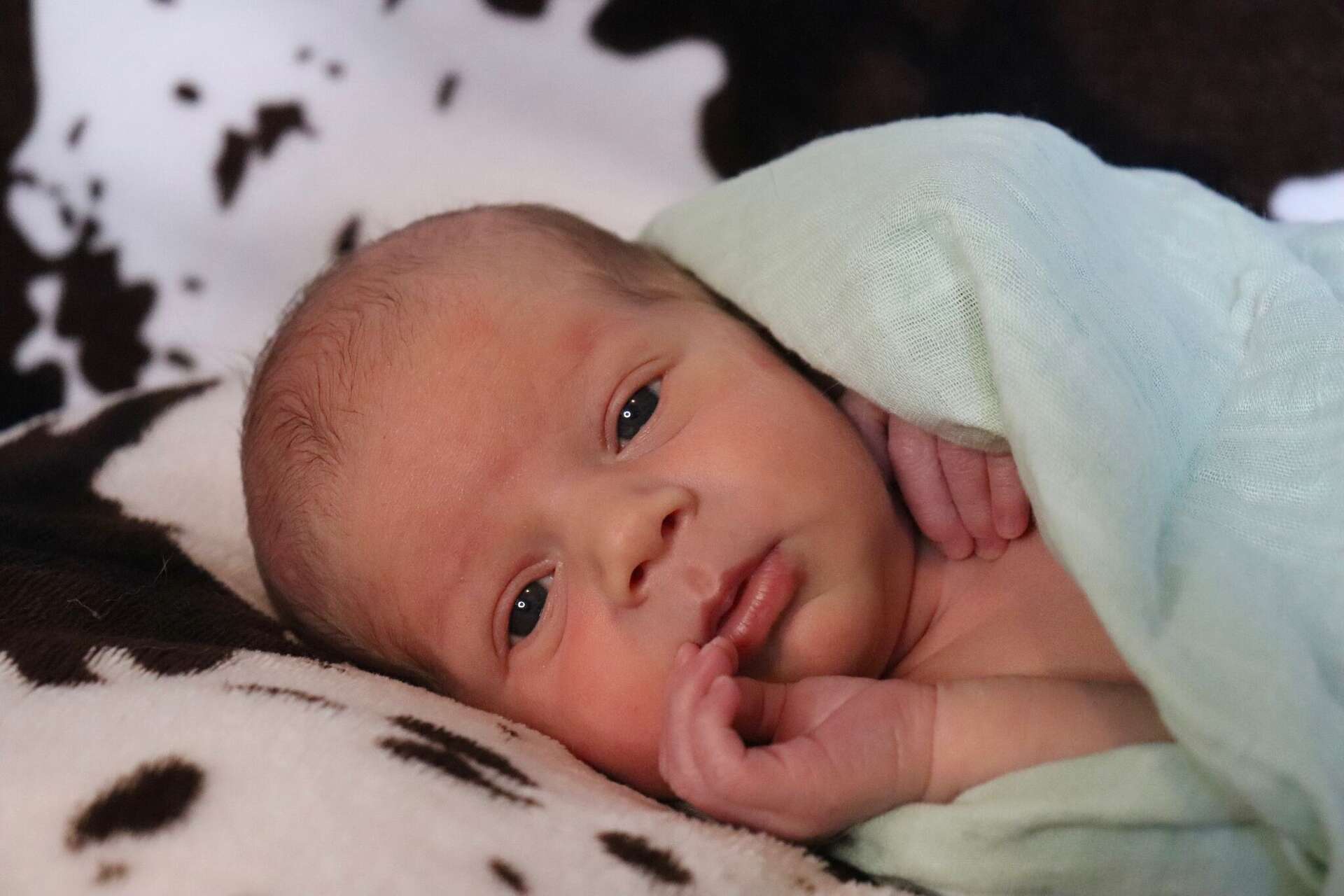 Swishers announce birth of baby boy