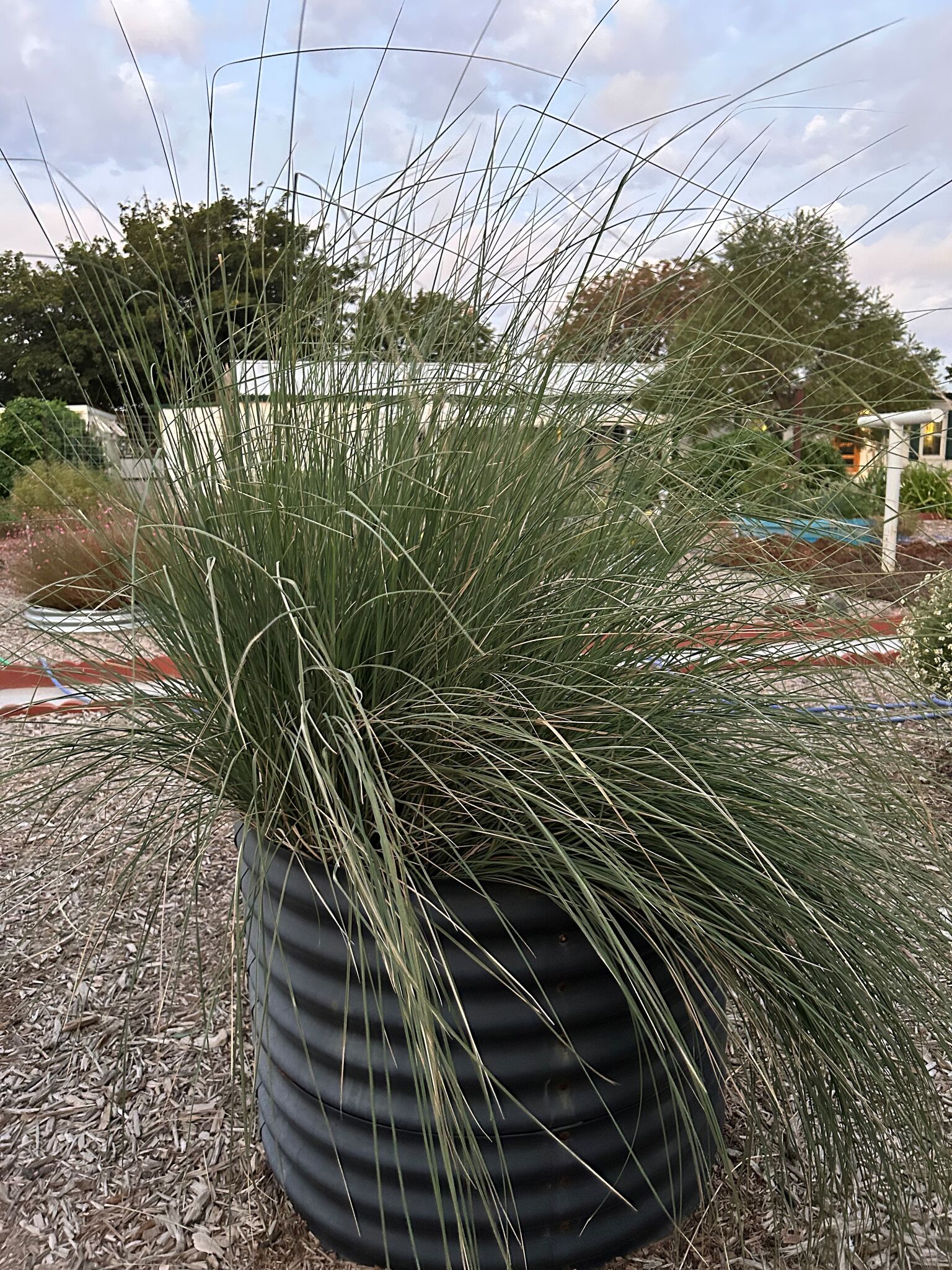 Spot natural gas prices at Waha hub turn negative — again