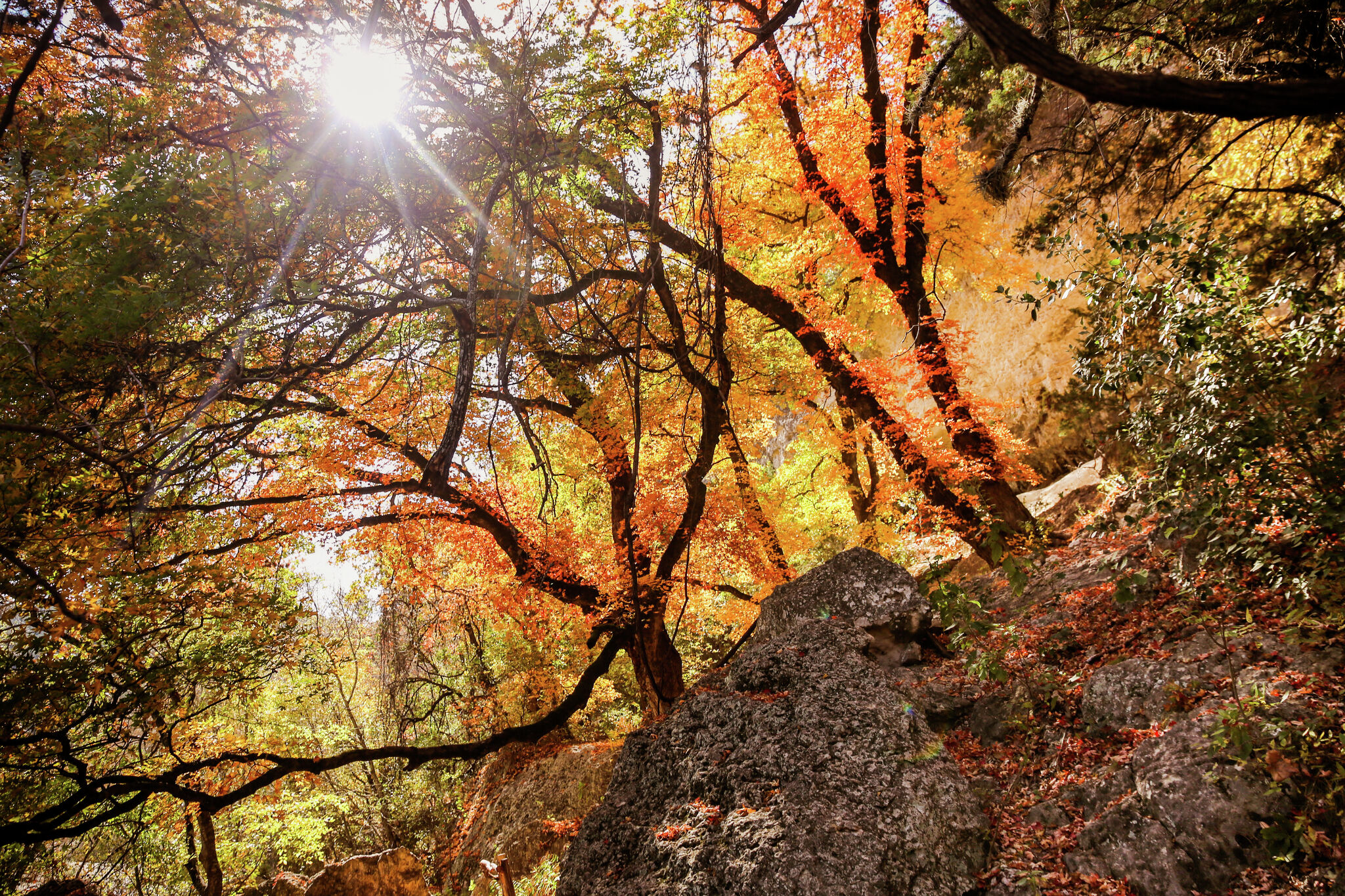 Pinstack opens second San Antonio location