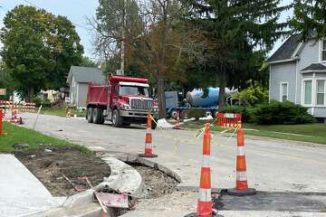 Michigan wild berries: 5 types to forage and enjoy this summer