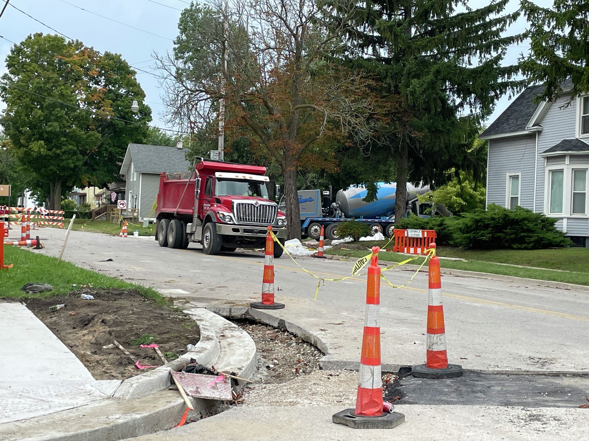 Michigan wild berries: 5 types to forage and enjoy this summer