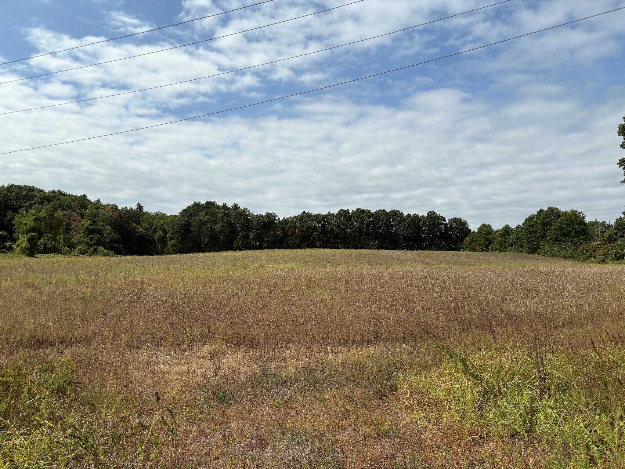 Titans interview finalists Matt Nagy and Robert Saleh for their head ...
