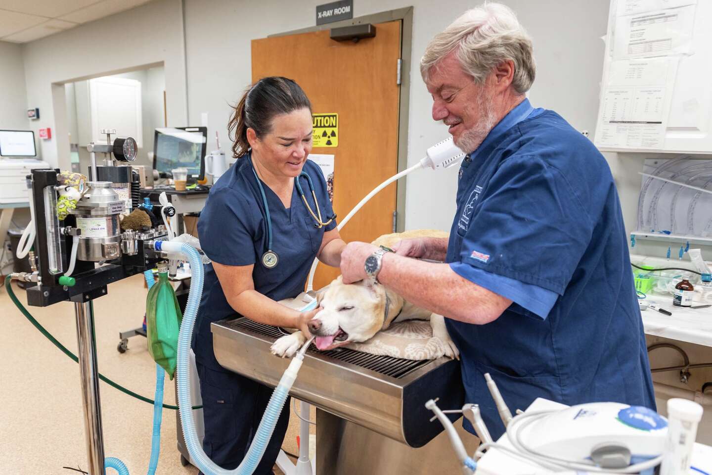 Danbury veterinarian Cary Brenner dies at 69: 'A giant void'