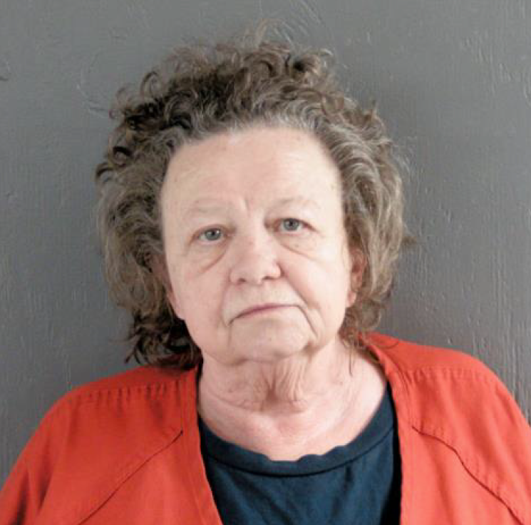 Irons Michigan woman to spend decades in prison for killing husband