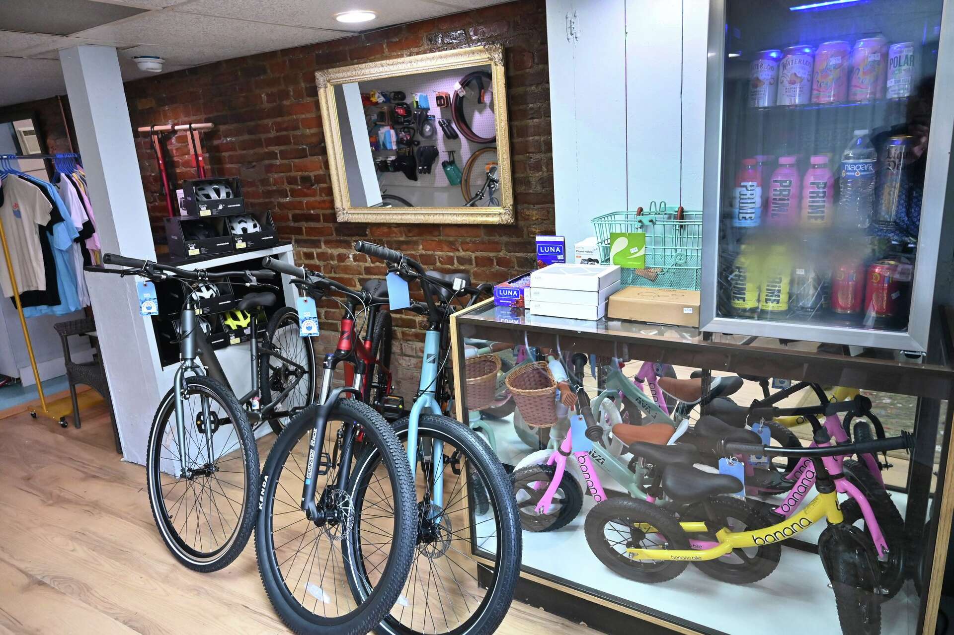 New bike shop, Blue Tulip Bicycle, opens on Lark Street