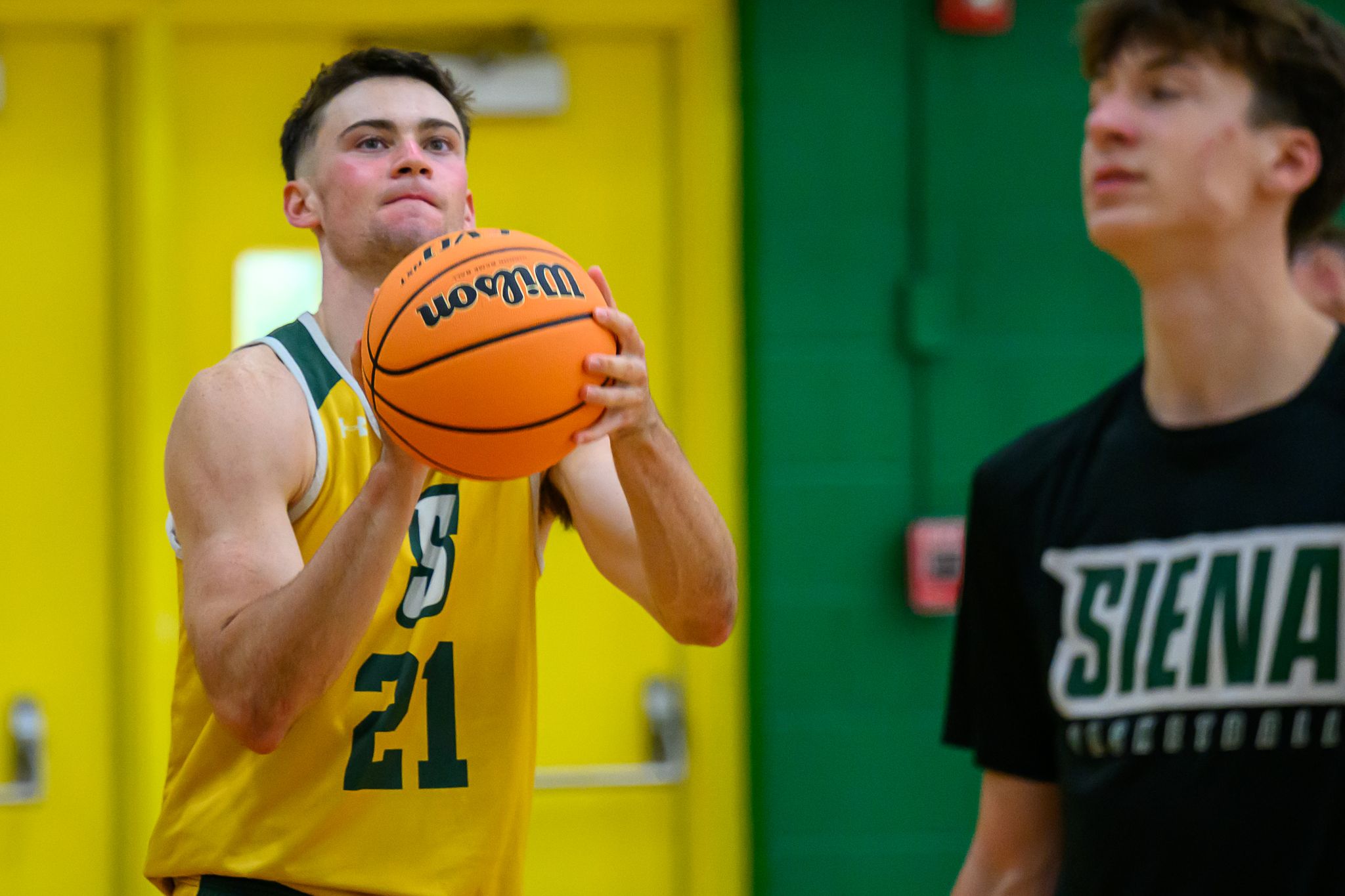 Siena basketball's Coyle aims for next step with title-driven team
