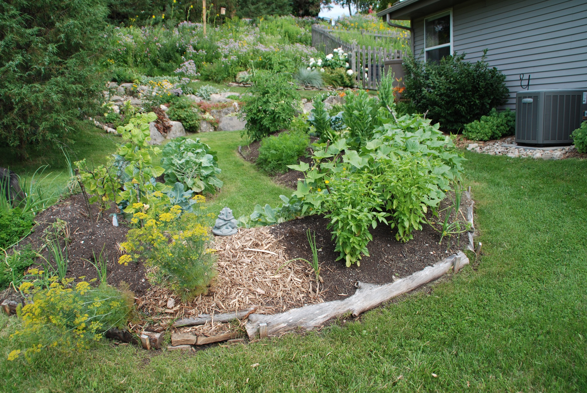 This robot helps combat fear, loneliness in hospitals