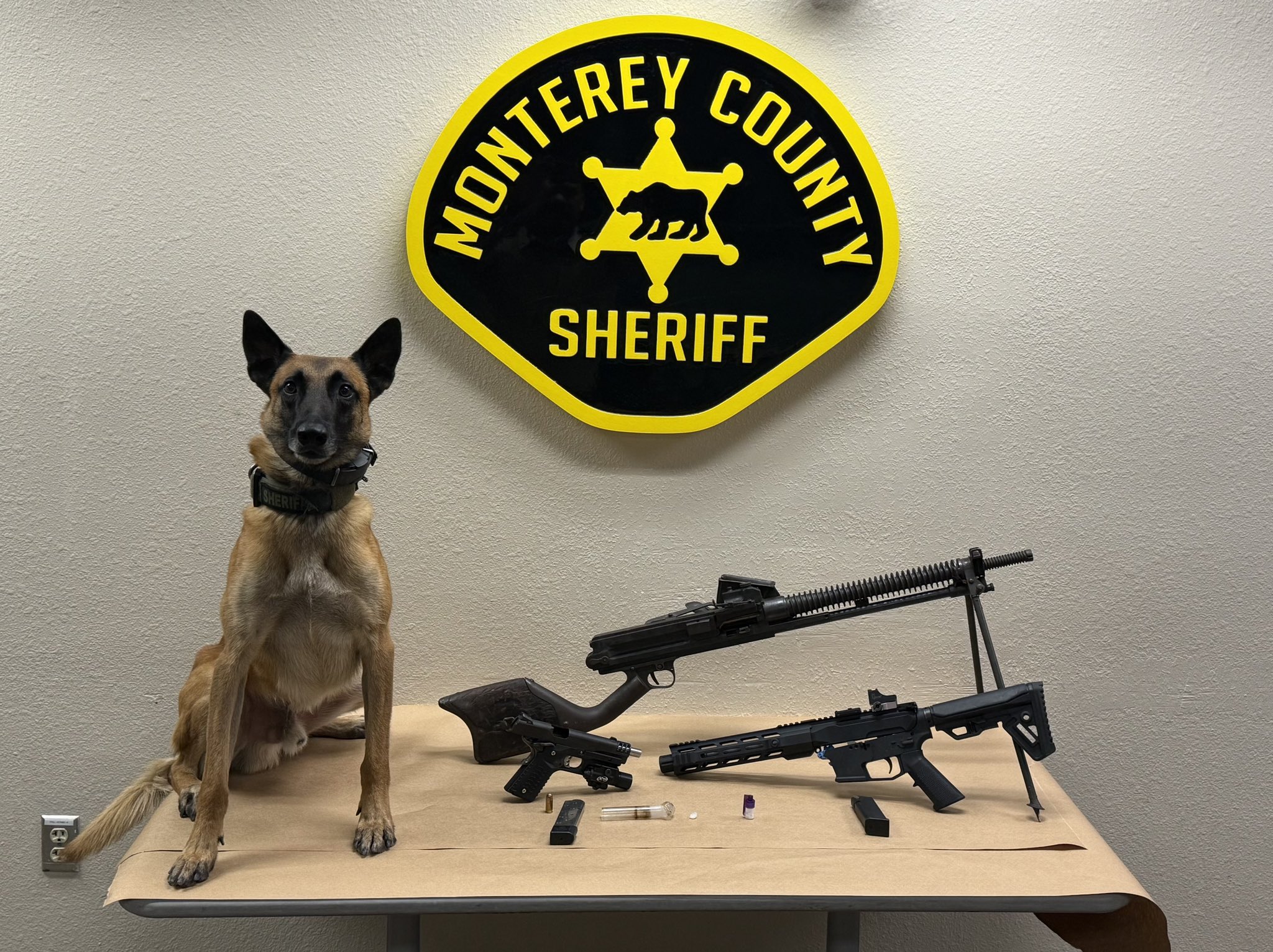 Monterey Co.: Traffic Stop Leads To 1 Arrest, Seizure Of Wwii-Era ...