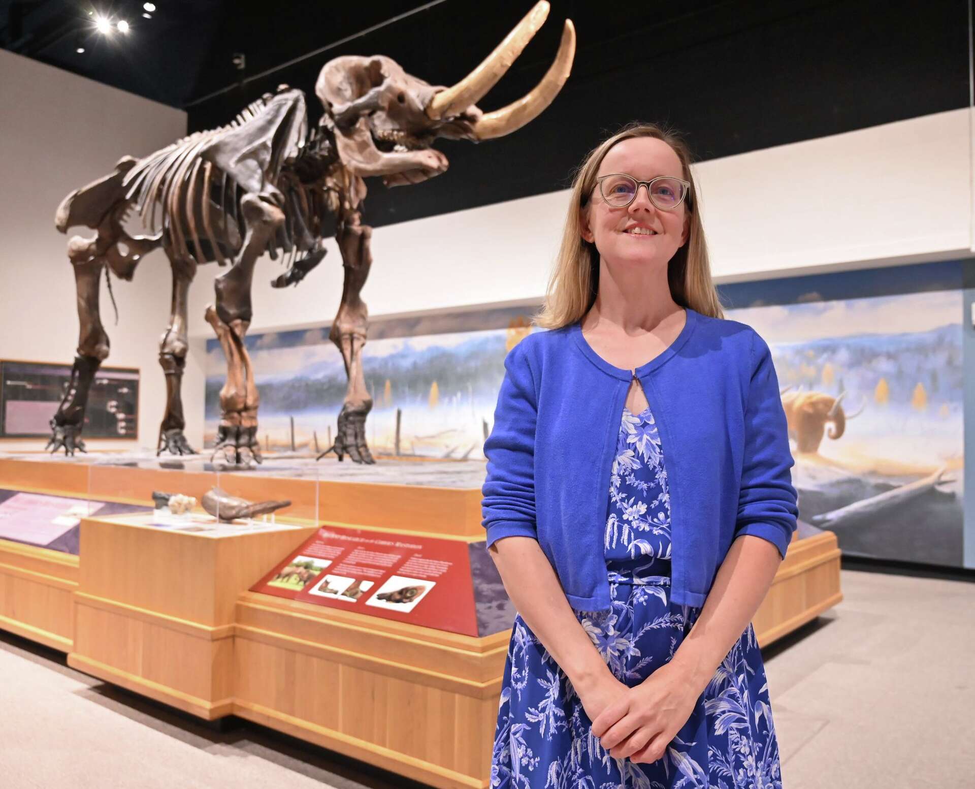 New York State Museum director sees 'opportunity' in new role