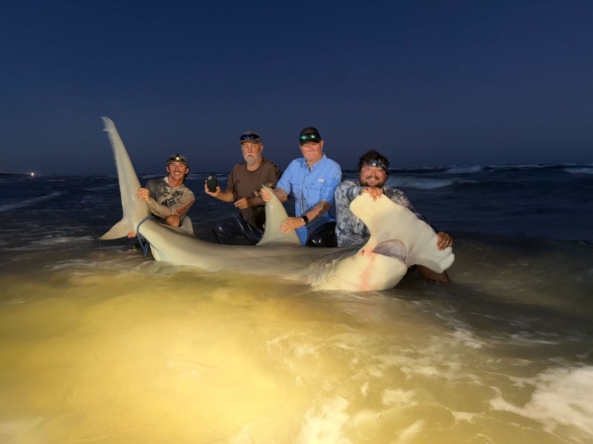 World Record Hammerhead Shark Length