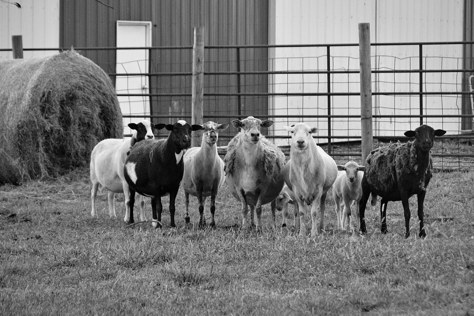 WICS NewsChannel 20 hires Mark Hespen as anchor