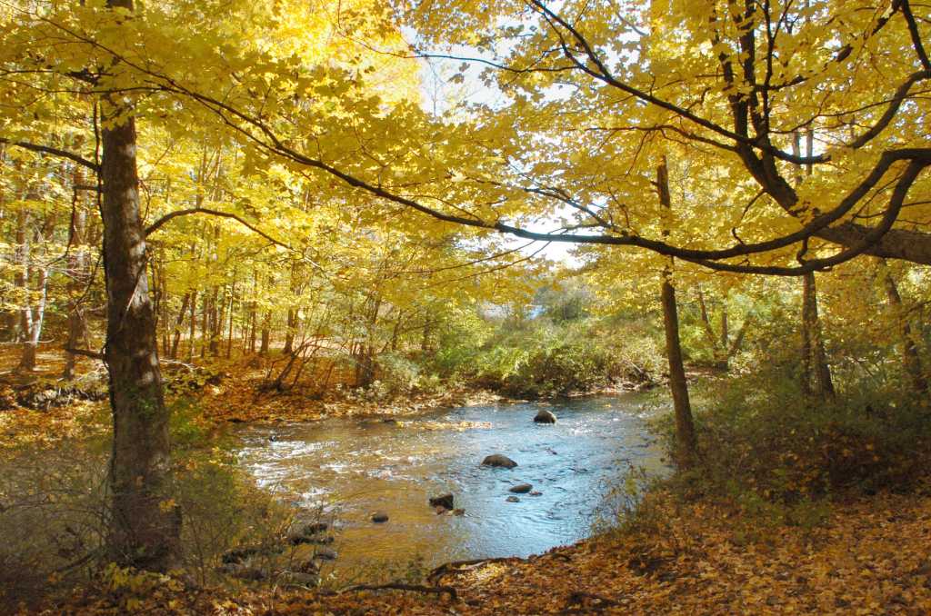 Man About Town / A lap around Lake Mohegan