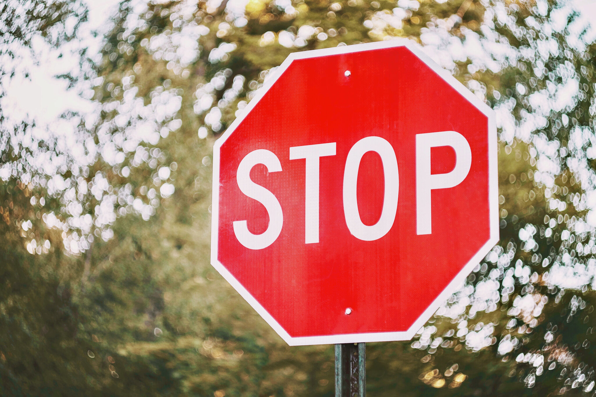 Michigan State Police still investigating fatal crash with downed sign