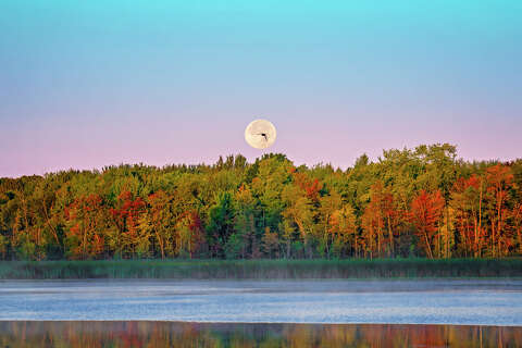 Michigan fall color report: See current colors, peak dates by region