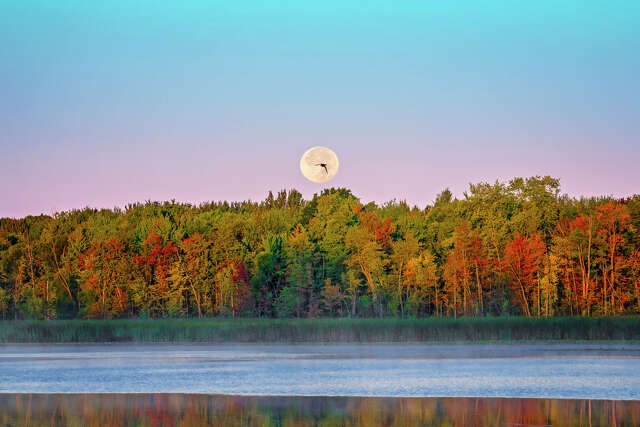 Michigan fall color report: See current colors, peak dates by region