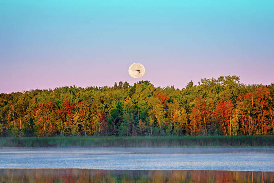 Michigan fall color report: See current colors, peak dates by region