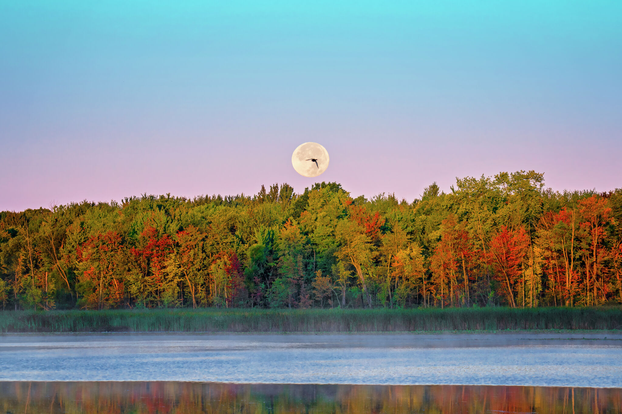 Michigan fall color report: See current colors, peak dates by region