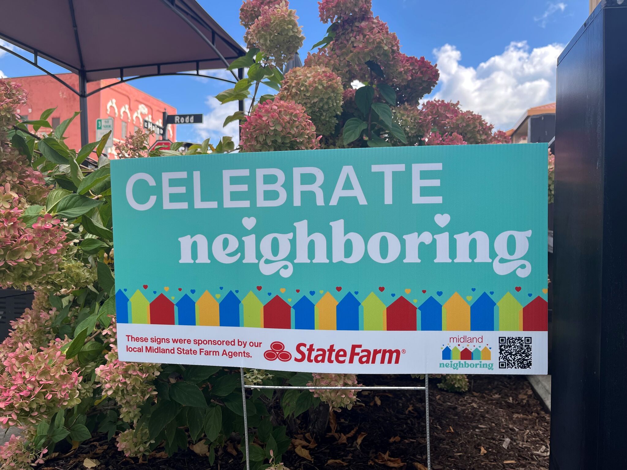 Is breakout star Jelly Roll a country singer or rapper?