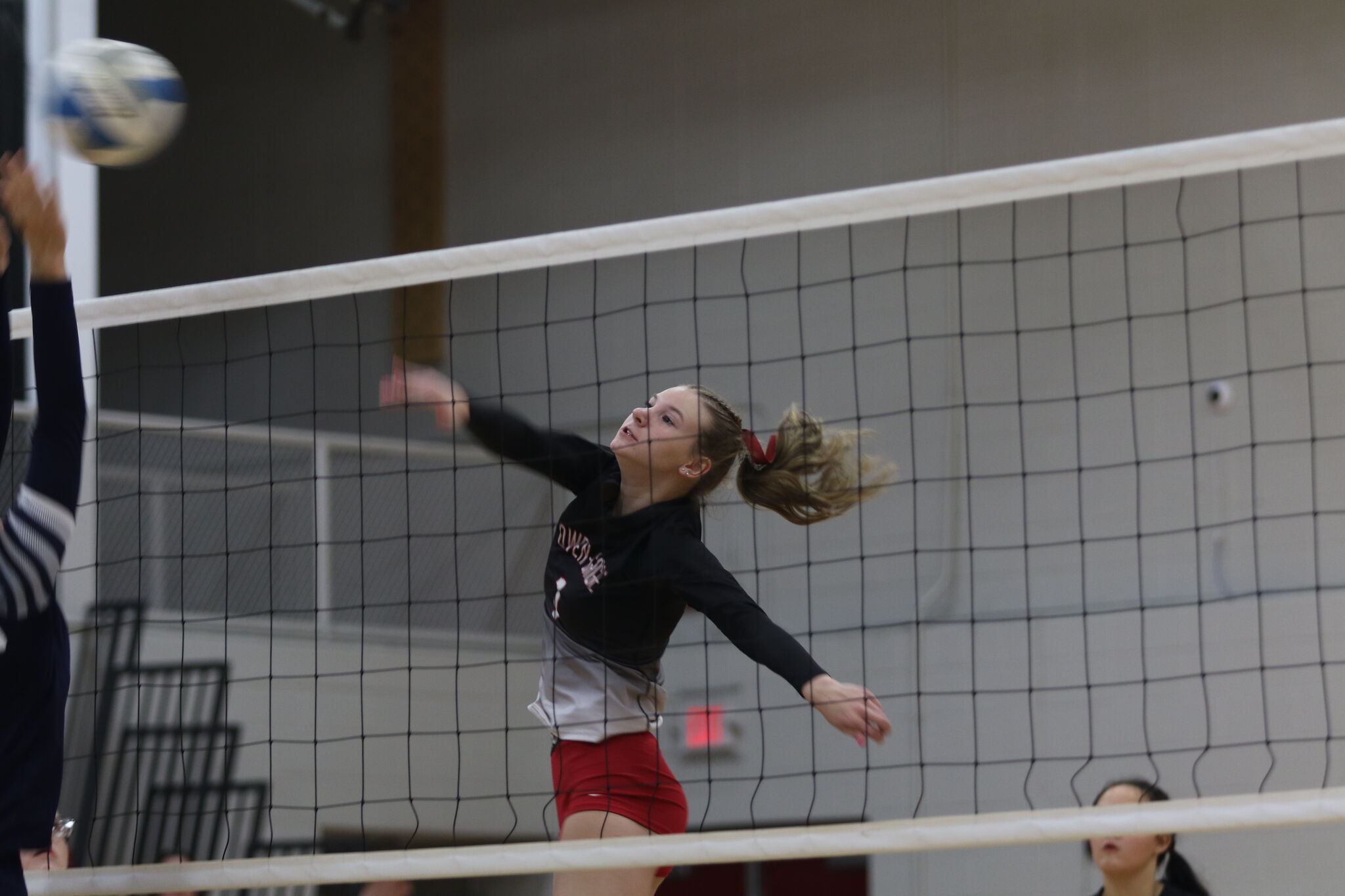 Understanding Michigan's deer hunting seasons: A guide