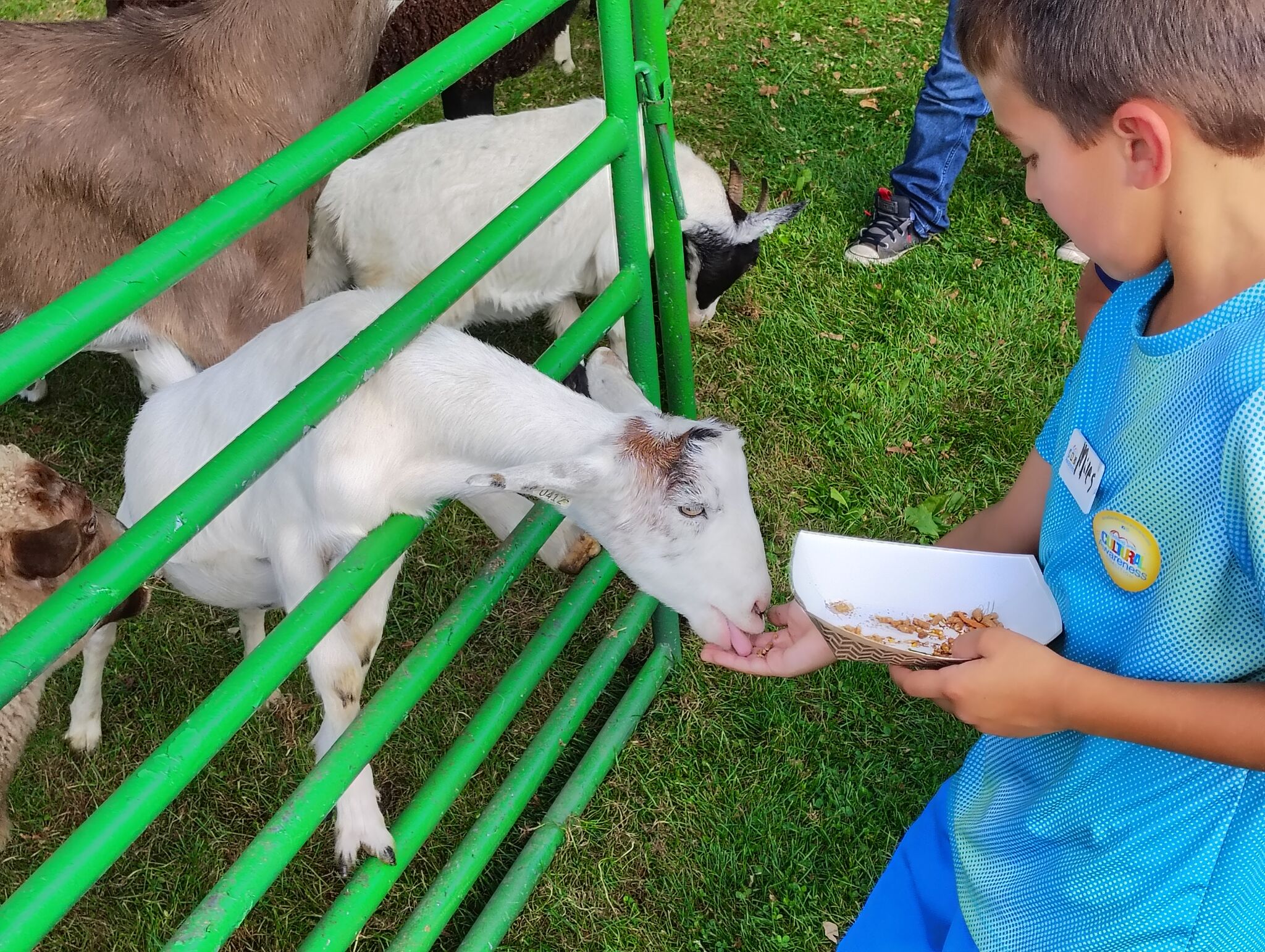 Neighboring week kicks off with Floats with Goats