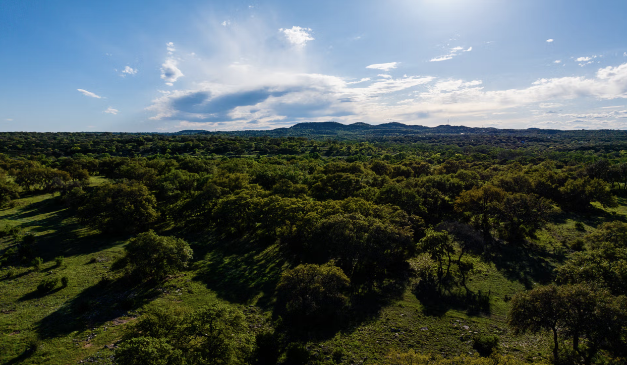 NVIDIA reveals Texas plans for 'Made in USA' AI supercomputers